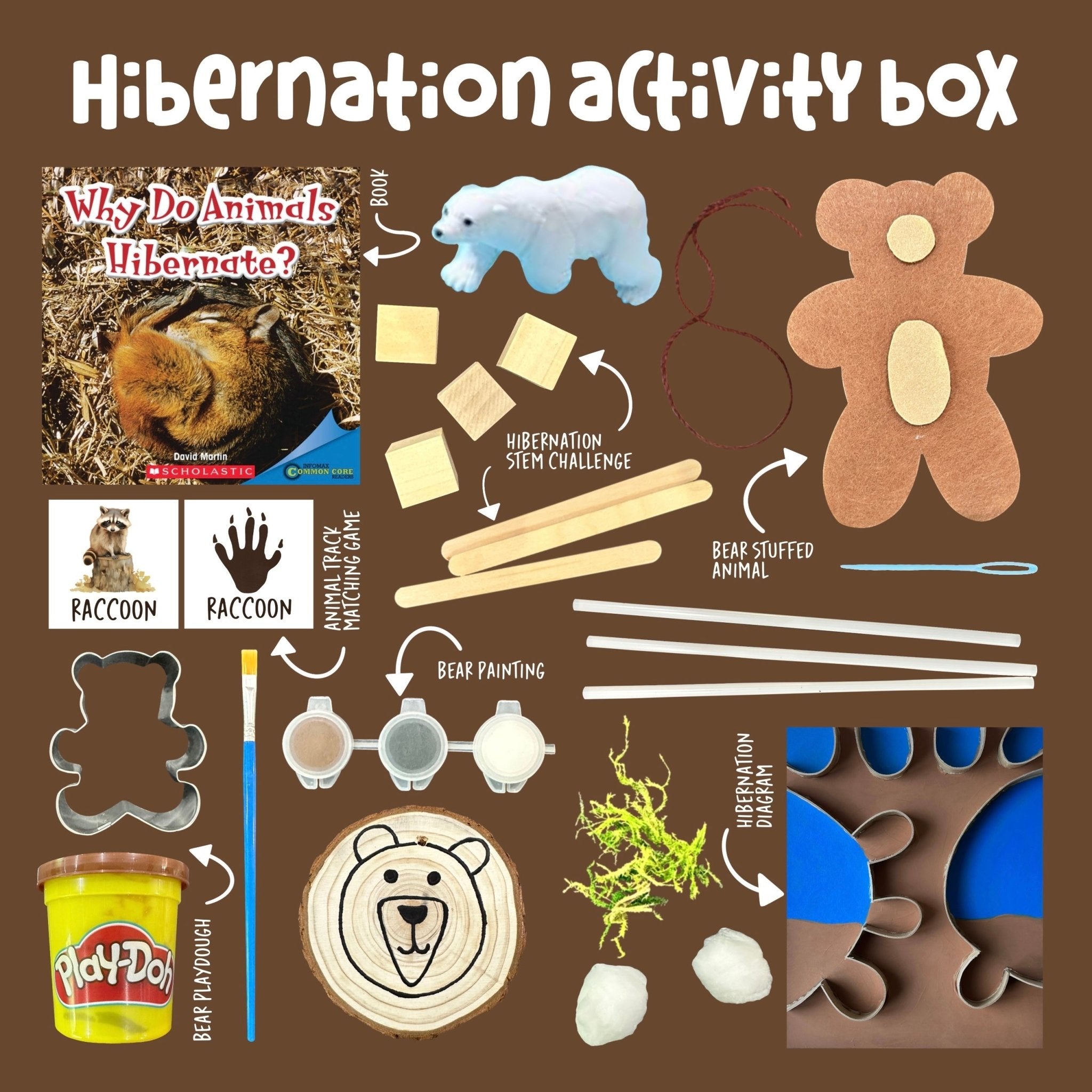 Hibernation Activity Box – Curious Kids Lab